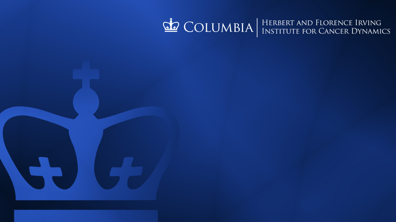 IICD Intranet | Columbia University